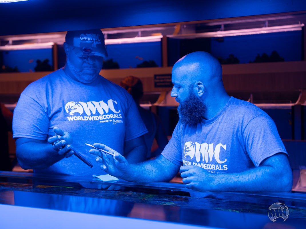 World Wide Corals International Merch Store – worldwidecorals-merch